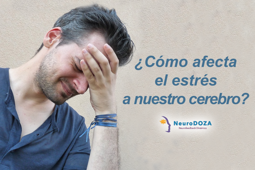 ¿Cómo afecta el estrés a nuestro cerebro? - Neurodoza