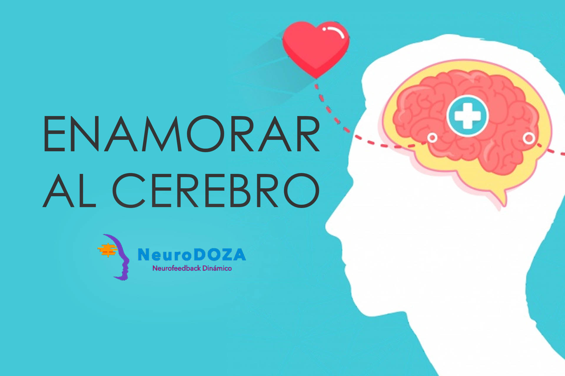 5 Claves Para Enamorar Su Cerebro Según La Neurociencia Neurodoza