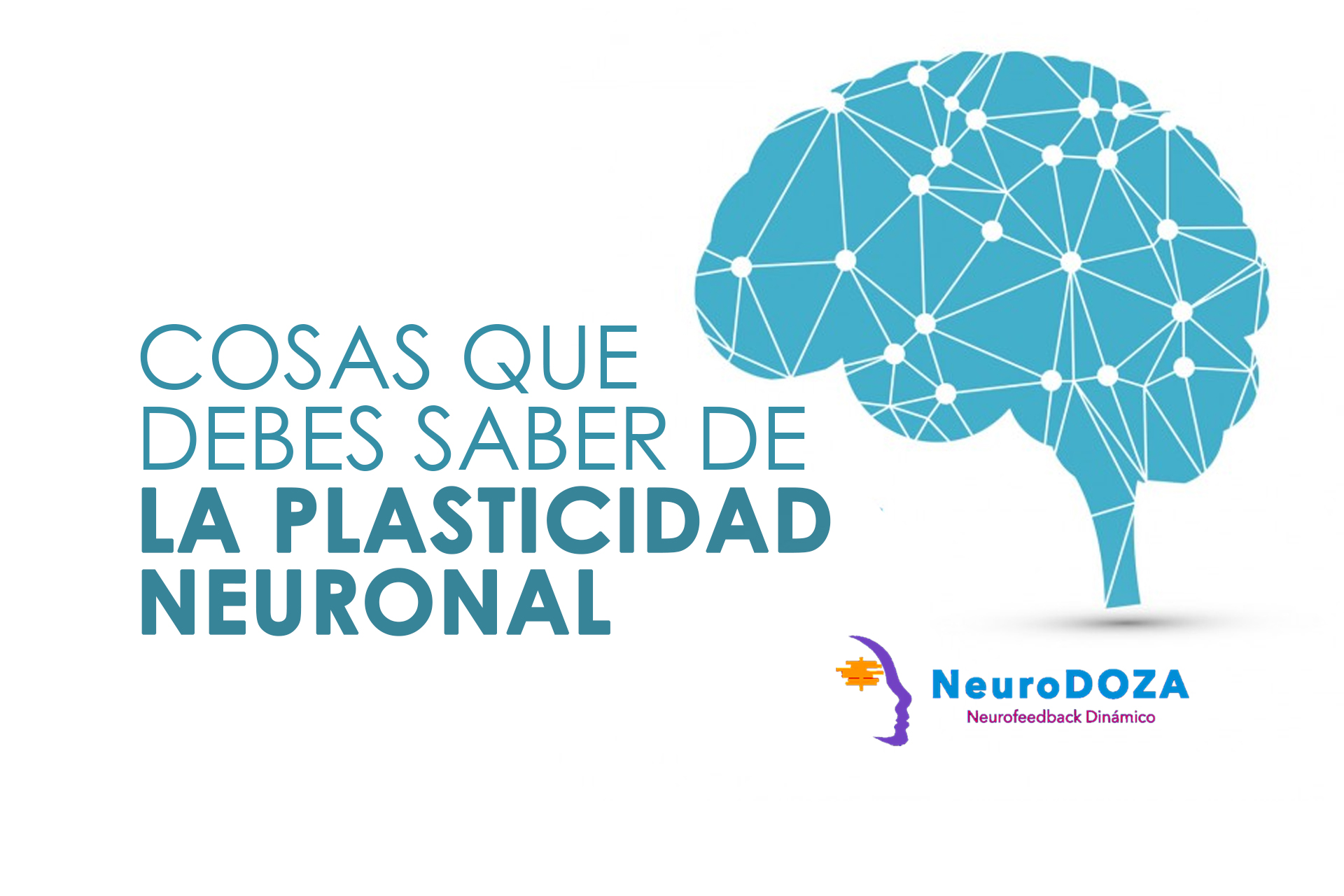 18 Cosas que debes saber de la plasticidad neuronal | NeuroDoza