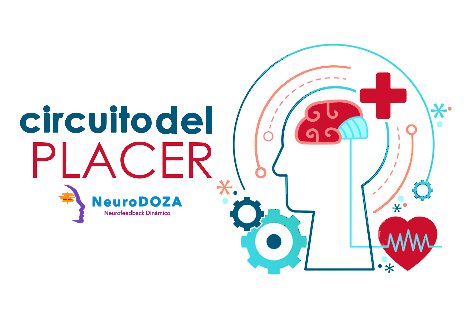 Conociendo el circuito del placer - NeuroDoza